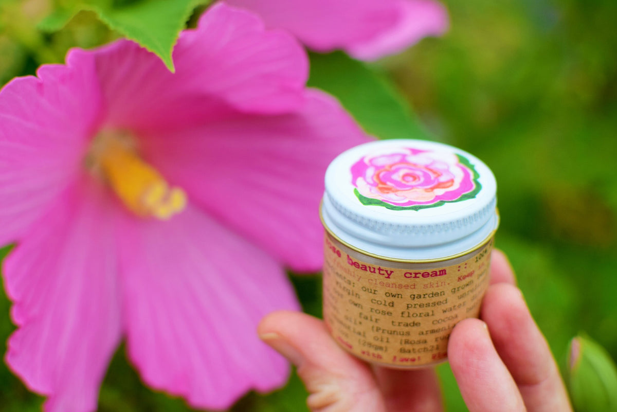 Beach Rose Beauty Cream – plant makeup